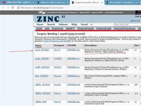 zinc database