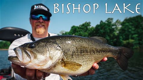 Giant Bass Caught On A Jig At Bishop Lake Livingston County Michigan