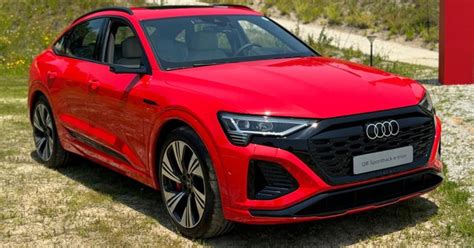 [시승기] 양복 입고 진흙길 달리는 반전매력… 아우디 Q8 E 트론