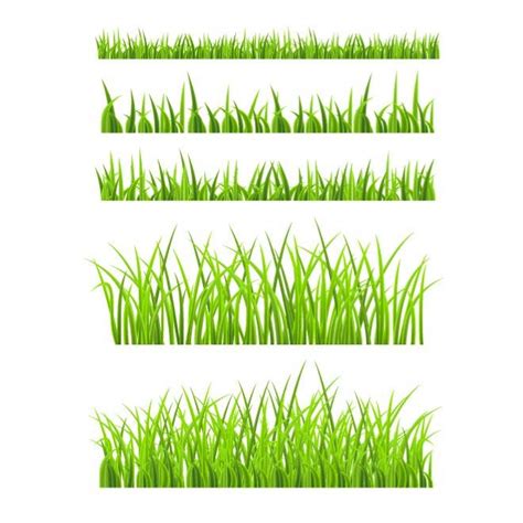 Spring Grass Packai Royalty Free Stock Svg Vector