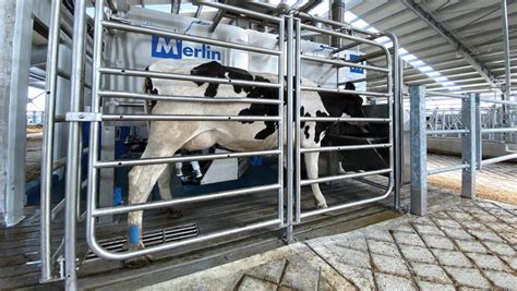 Robot Di Mungitura Tdm Total Dairy Management