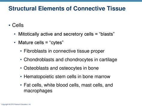 Tissue The Living Fabric Part B Ppt Download