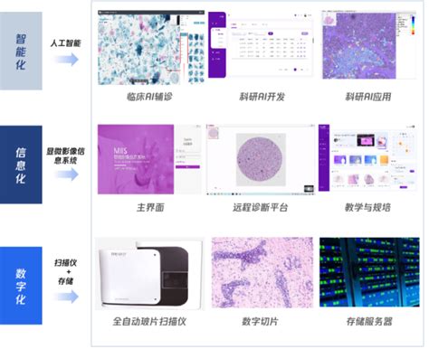 深圳市人民医院门户网站