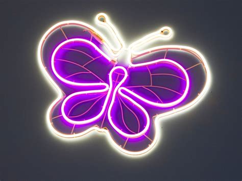 Papillon lumineux x cm pour extérieur LED Rose et blanc chaud
