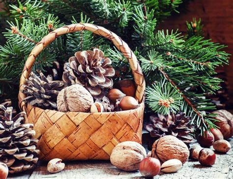 КОРЗИНА С ЕЛОВЫМИ ШИШКАМИ К.Г .Паустовский В восемнадцать лет Дагни ...
