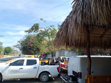 Secretaría de Salud refuerza medidas de control del dengue en Acapulco