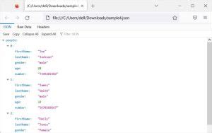 How To Open JSON File In Possible Ways