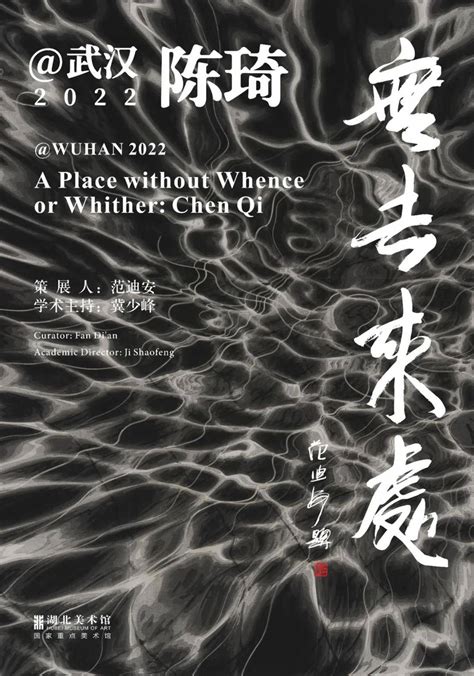 湖北美术馆恢复开馆 武汉年度新展即将亮相 陈琦 展览 防控