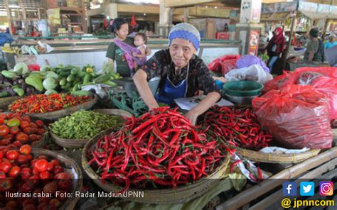 Harga Cabai Tembus Rp 80 Ribu Perkilogram Di Batam