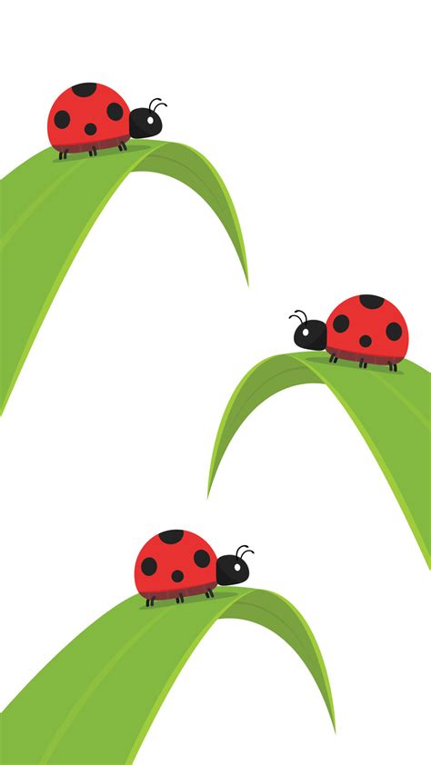 Ladybug On Leaf Wallpaper Free Space For Text Background Symbol Ladybug On White Background