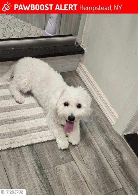 Deceased Male Other In Hempstead Ny 11550 Id 71262702 Pawboost