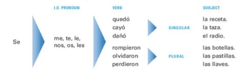 Constructions With Se Flashcards Quizlet