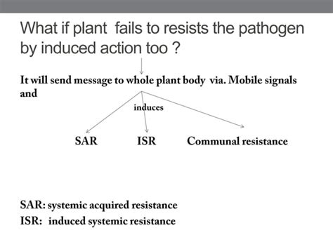 Plant Immunity And Plant Pathogen Interactions Made Easy Pdf Gardening Home And Garden