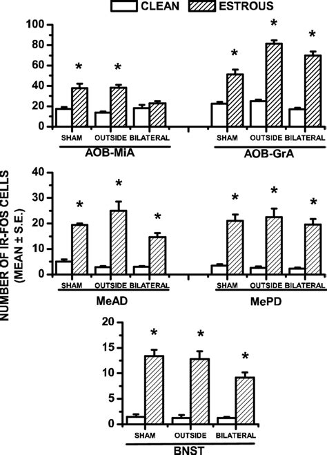 Number Of Fos Ir Cells In The Aob Mitral And Granule Cell Layer Mead