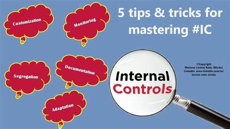 How To Master Internal Controls Effectively Lavinia Radu Posted On