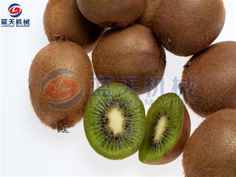 Kiwi Drying Process Henan Lantian Machinery Manufacturing Co Ltd