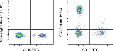 Cd3 Monoclonal Antibody Sk7 Brilliant Ultra Violet™ 615 Ebioscience
