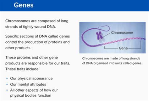 Unit 3 Quiz Flashcards Quizlet