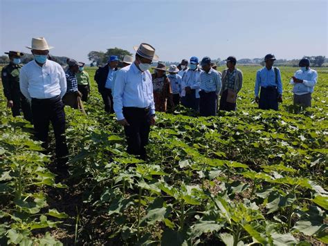ဧရာဝတီတိုင်းဒေသကြီးအစိုးရအဖွဲ့ ဝန်ကြီးချုပ် ဦးတင်မောင်ဝင်းနှင့် အဖွဲ့ဝင်များ မအူပင်ခရိုင်၊ မအူပင