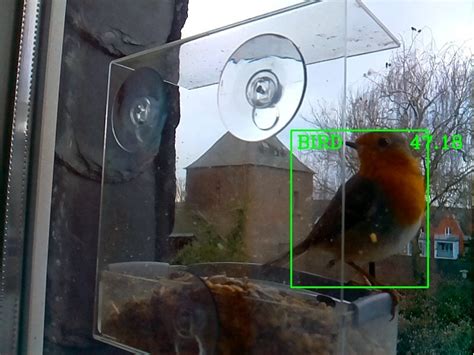 I Bought A Small Birdhouse For My Apartment Which You Can Hang In