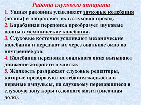 Работа слухового аппарата Online Presentation