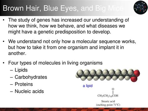 PPT - Chapter 16 Biochemistry and Biotechnology PowerPoint Presentation ...