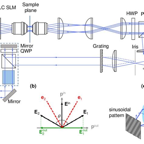A Schematic Of The Setup Pbs Polarization Beam Splitter Hwp