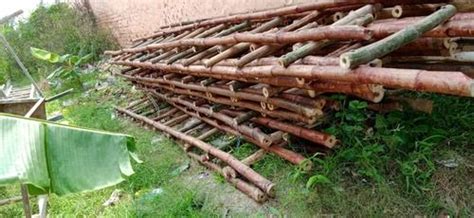 100 Eco Friendly Strong And Resilient Multiple Stick Bamboo Ladder At