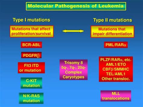 Ppt Molecular Pathogenesis Of Leukemia Powerpoint Presentation Free