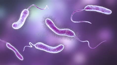 Vibrio Mimicus Bacteria Stock Illustration Illustration Of Bacteria