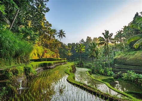 Bali National Geographic Traveller Uk Travel Read This Story On