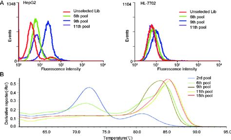 Aptamer Pools Are Enriched After 11 Rounds Selection A Binding