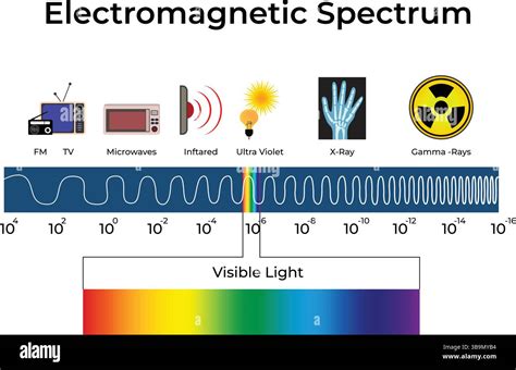 Electromagnetic Spectrum Diagram Design Vector Illustration Stock Vector Image And Art Alamy