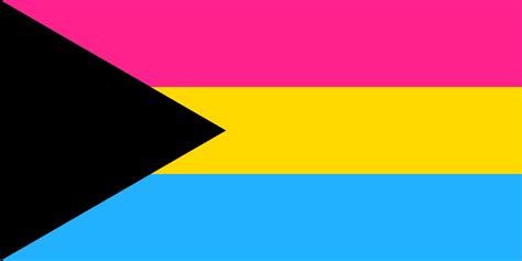 Found In The Wild Demi Pansexual Flag Rvexillology