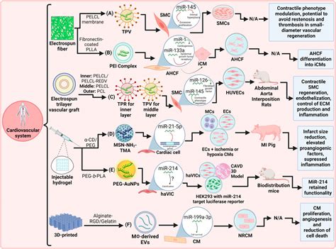 Frontiers Current Advances In The Development Of Microrna Integrated