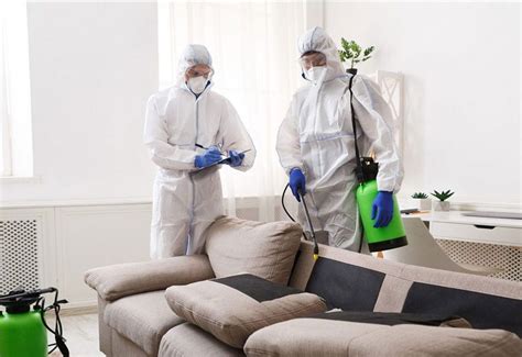 Stop The Termite Infestation With Termite Treatment In Uae