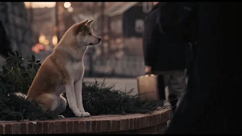 忠犬八公的故事