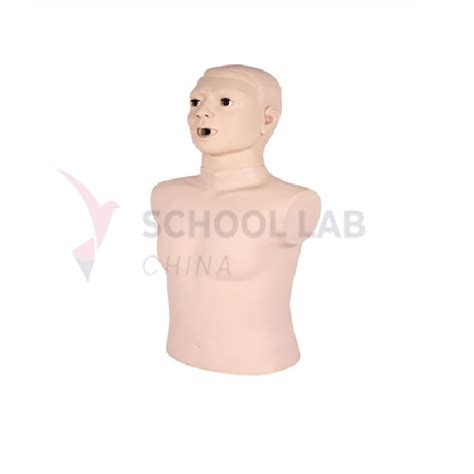 Advanced Adult Obstruction And Cpr Model China Manufacturers