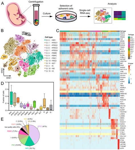 The Relevance Of Single Cell Analysis Approaches For The