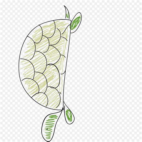 Png Png