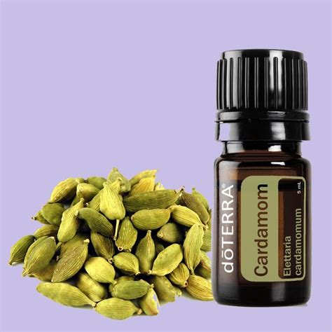 Cardamom Kardemom Essentiële Olie Dōterra Livingessentialnl