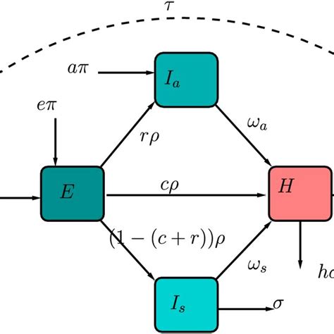 Schematic Diagram For The Model Download Scientific Diagram