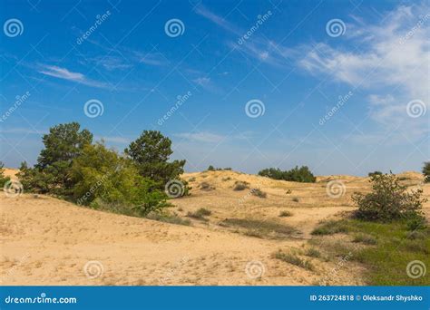View Of The Oleshkiv Sands The Ukrainian Desert Near The City Of