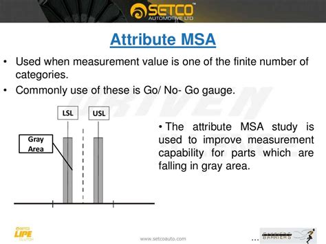 Attribute Msa