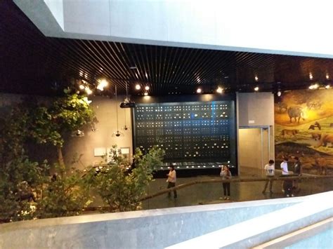2023周口店北京人遗址博物馆游玩攻略周口店猿人遗址博物馆修建的【去哪儿攻略】