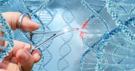 Applications Nanocellect