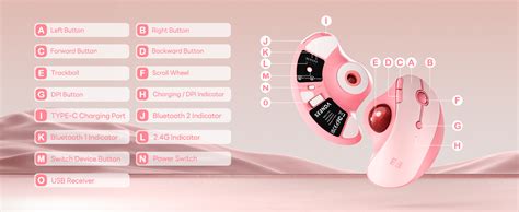 Wireless Trackball Mouse Bluetooth Ergonomic Rollerball