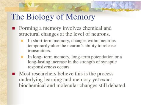 PPT Memory PowerPoint Presentation Free Download ID 334709