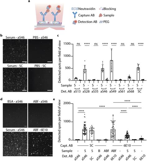 Desabs Bind α Synuclein Aggregates In Serum Samples From Pd Patients