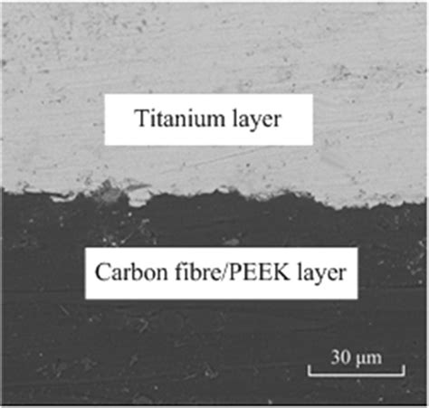 Sem Image Of The Interface Between Titanium And Carbon Fiber Peek